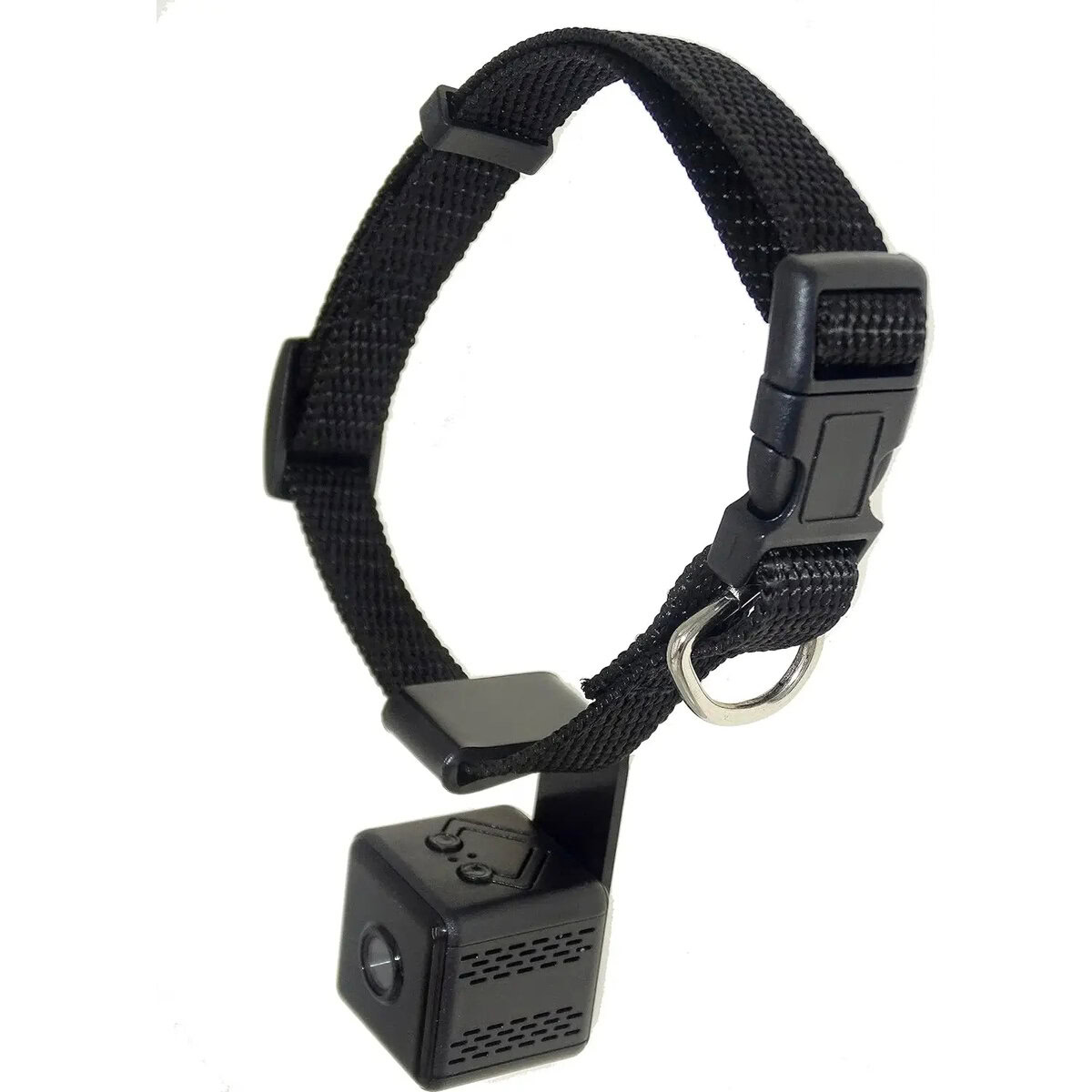 5 Best Pet Collar Cameras & Accessories in 2024 — Reviews & Top Picks ...