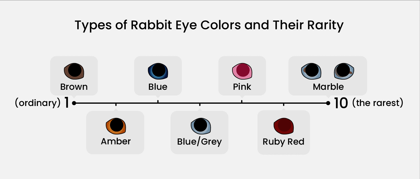 Eyes Tell All Eye Color Chart Eye Color Chart Genetics Eye Color