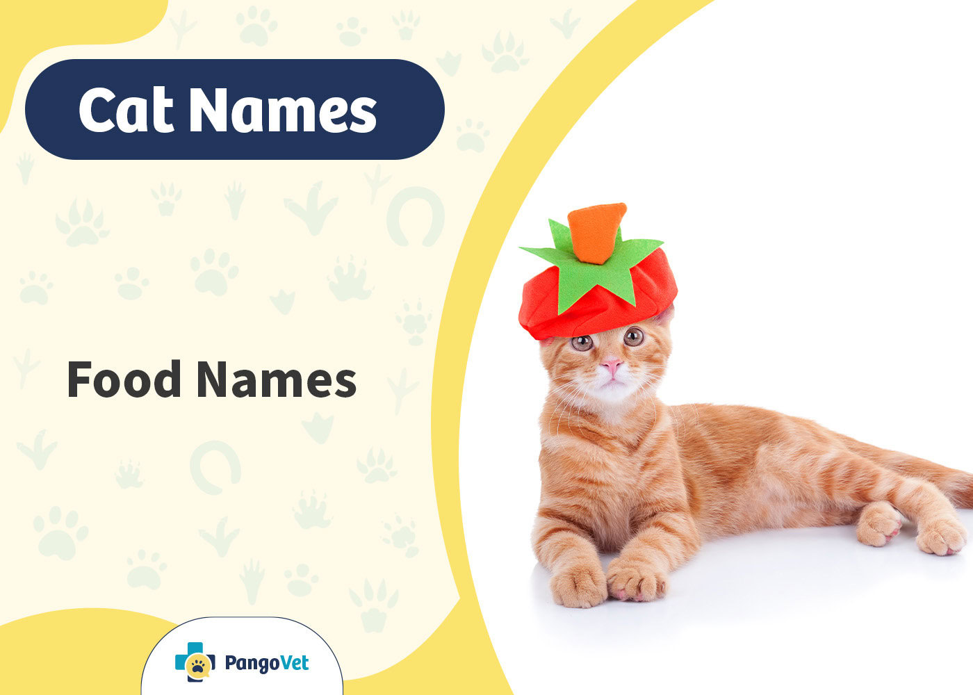 Food names for cats store