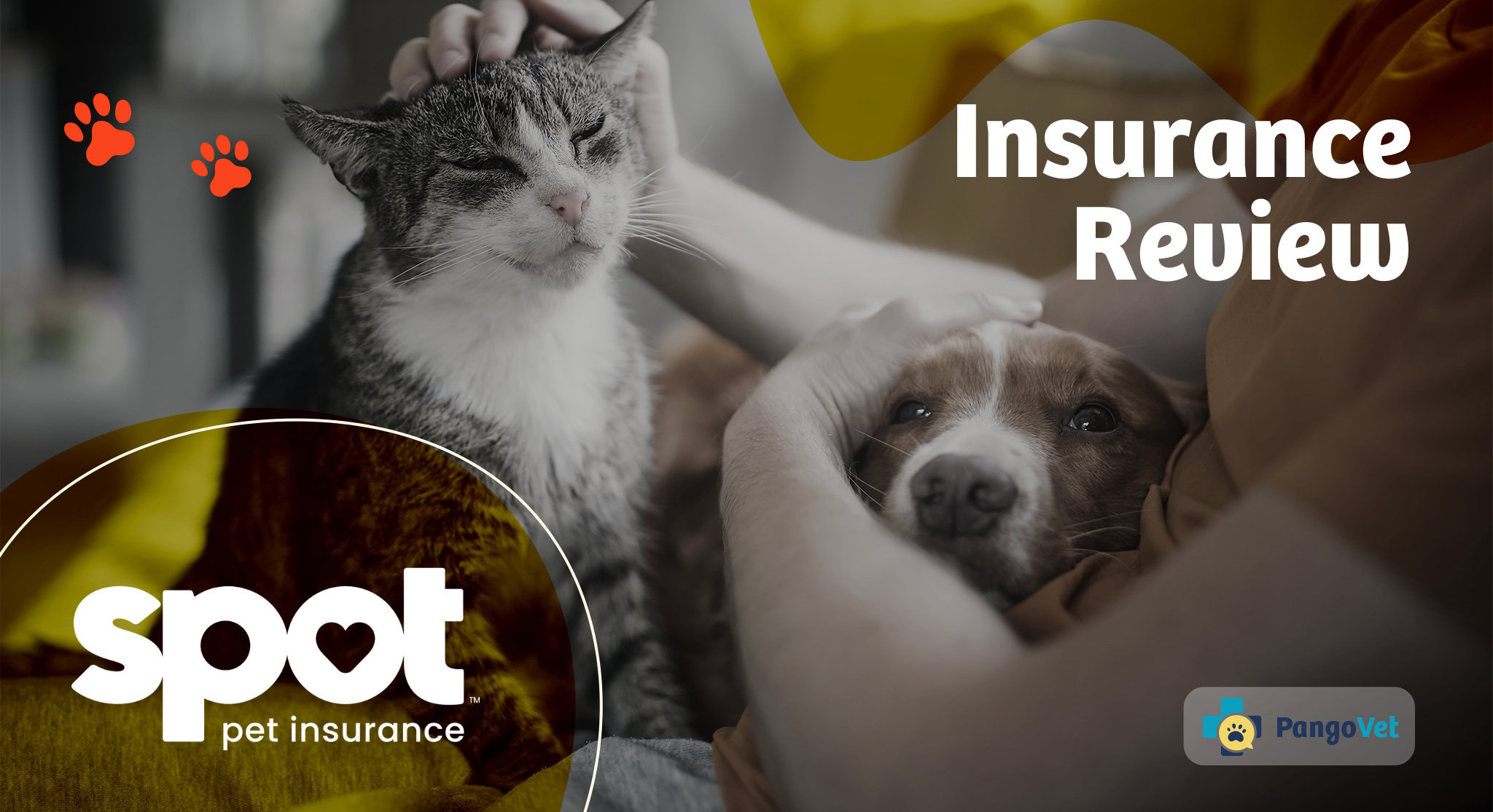 10 Best Pet Insurance Providers in Texas in 2025 - Reviews ...