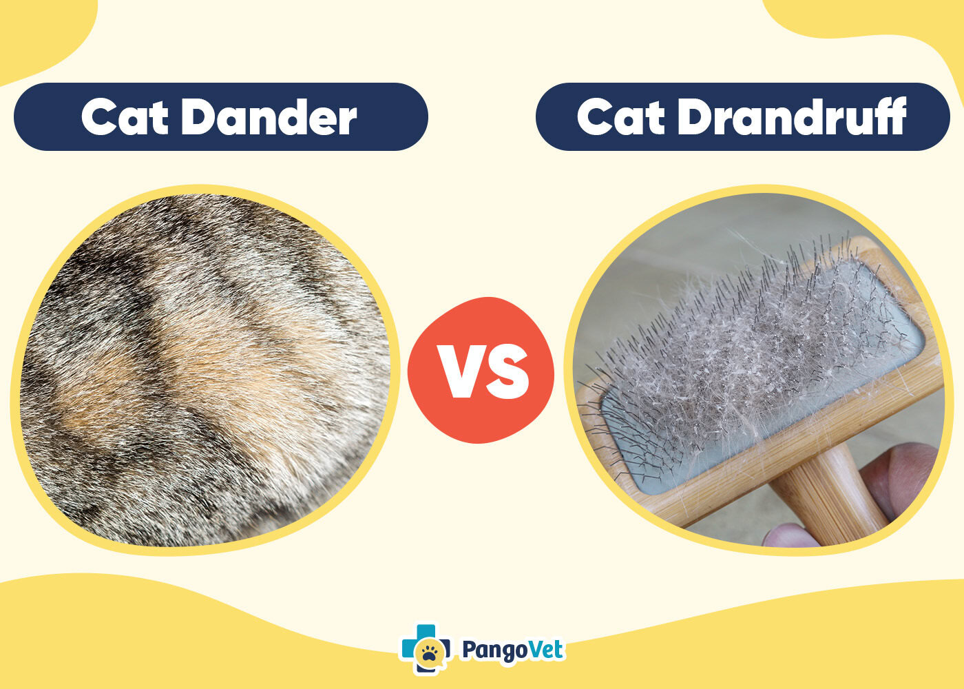 Weaning Kittens Off Their Mother: Vet-Approved Tips & Advice | PangoVet