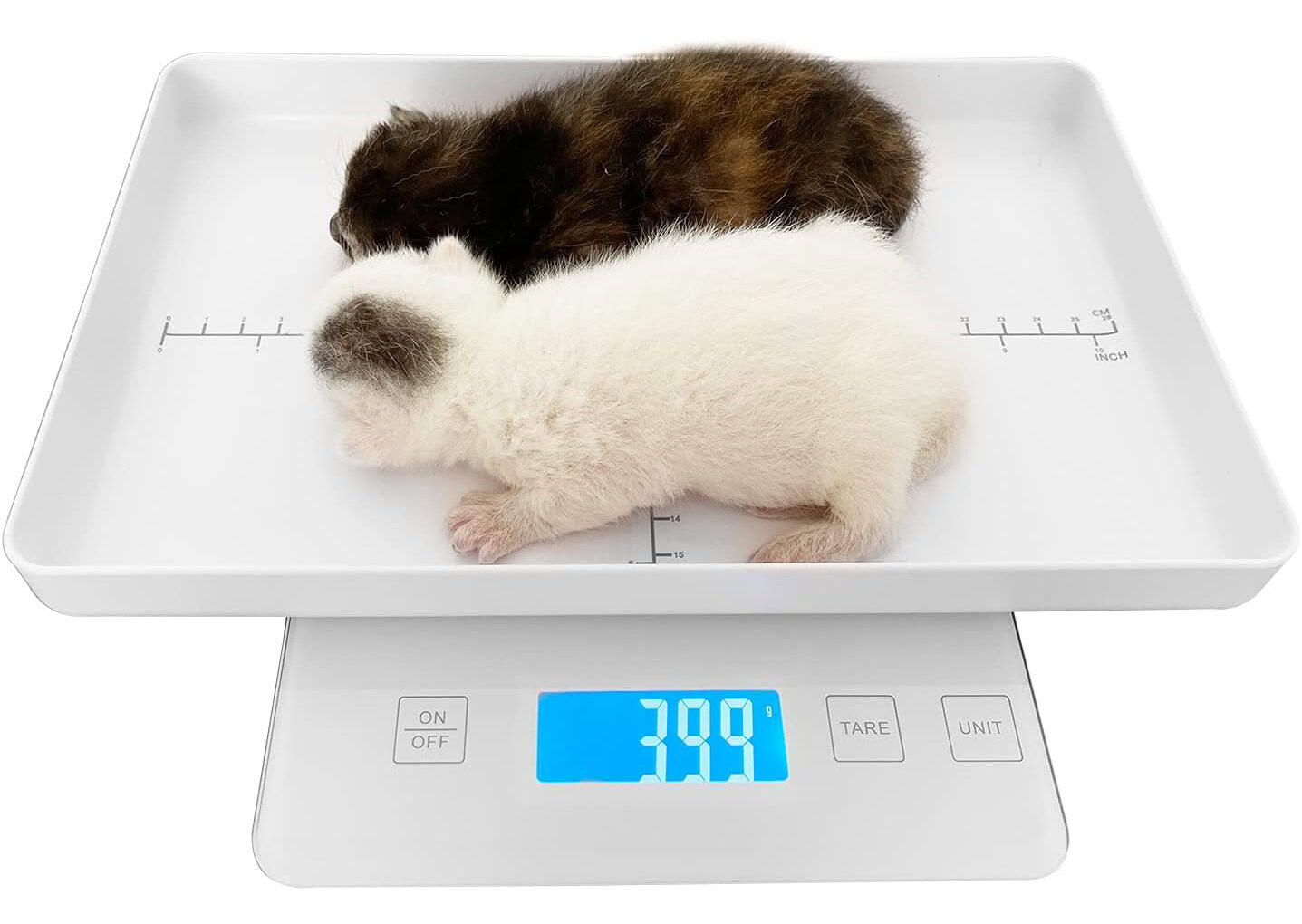 7 Best Pet Scales for Cats In 2024 - Reviews & Top Picks | PangoVet