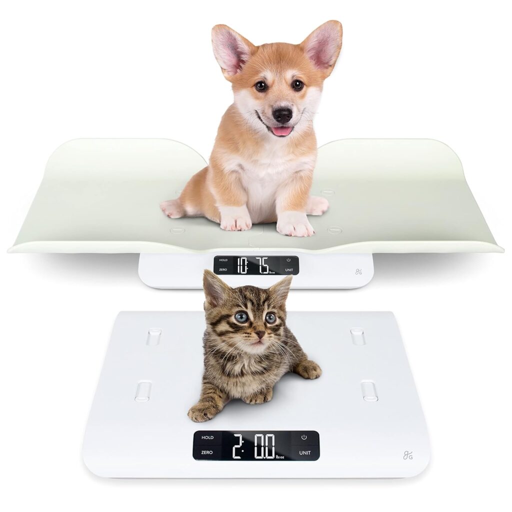 7 Best Pet Scales for Cats In 2025 - Reviews & Top Picks | PangoVet