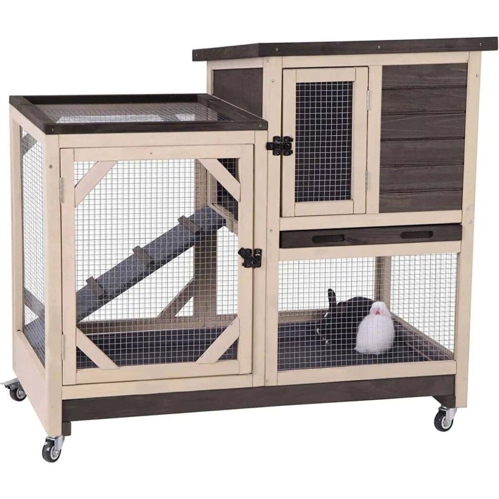 9 Best Indoor Rabbit Cages in 2025 - Reviews & Top Picks | PangoVet
