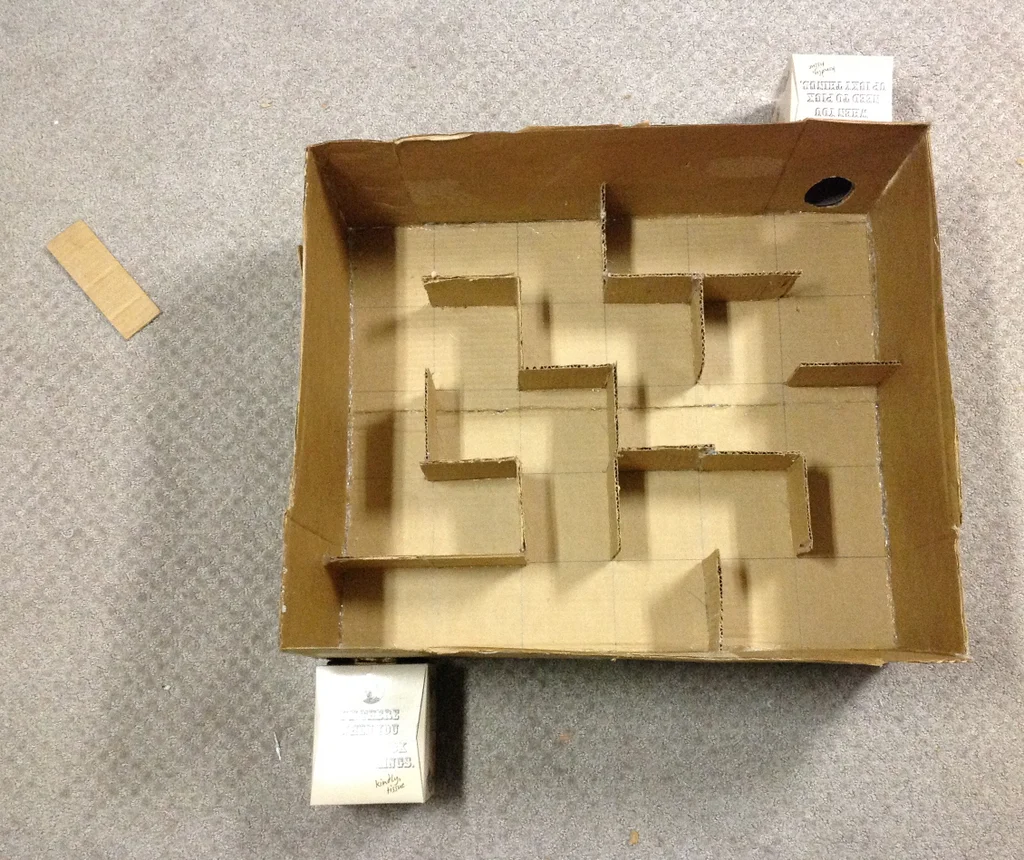 6 DIY Hamster Mazes You Can Make at Home (With Pictures) | PangoVet