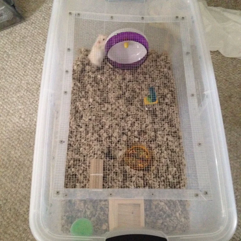 10 DIY Hamster Bin Cages You Can Build Today (With Pictures) | PangoVet