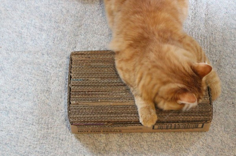 8 DIY Cardboard Cat Scratcher Plans You Can Make Today (With Pictures ...