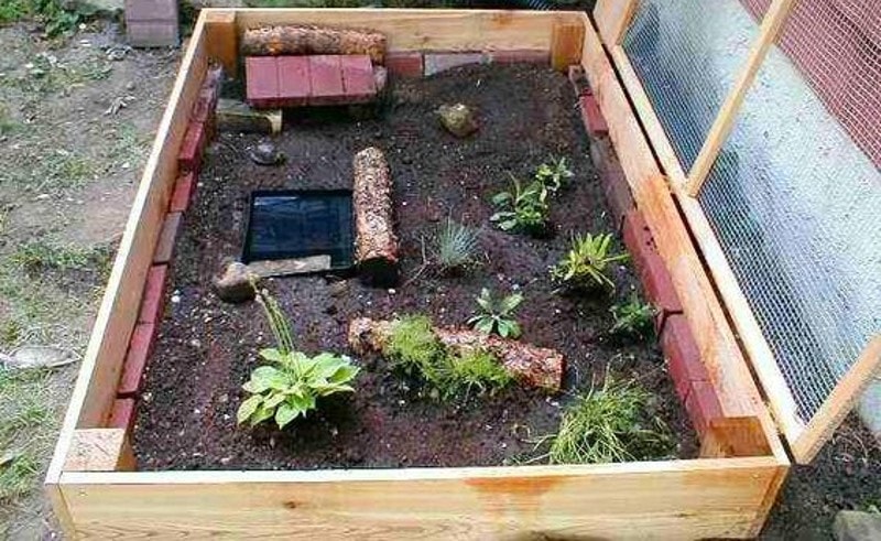 10 Free DIY Tortoise Enclosure Plans You Can Make Today (With Pictures) | PangoVet