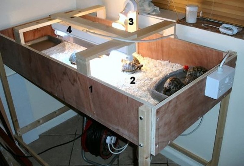 6 DIY Tortoise Table Plans You Can Make Today (With Pictures) | PangoVet