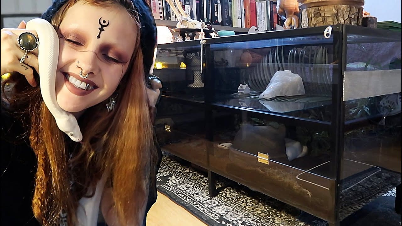 8 DIY Snake Enclosure Plans You Can Make Today (With Pictures) | PangoVet