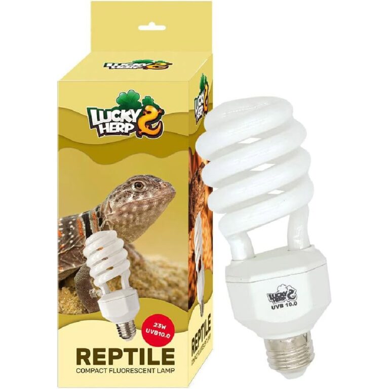 Best UVB Lights for Tortoises & Turtles in 2025 - Reviews & Top Picks ...