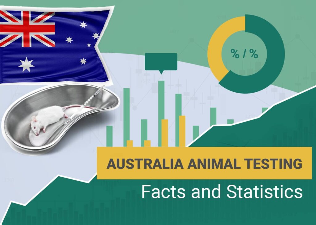 10 Disheartening Australian Animal Testing Statistics to Know in 2025 ...