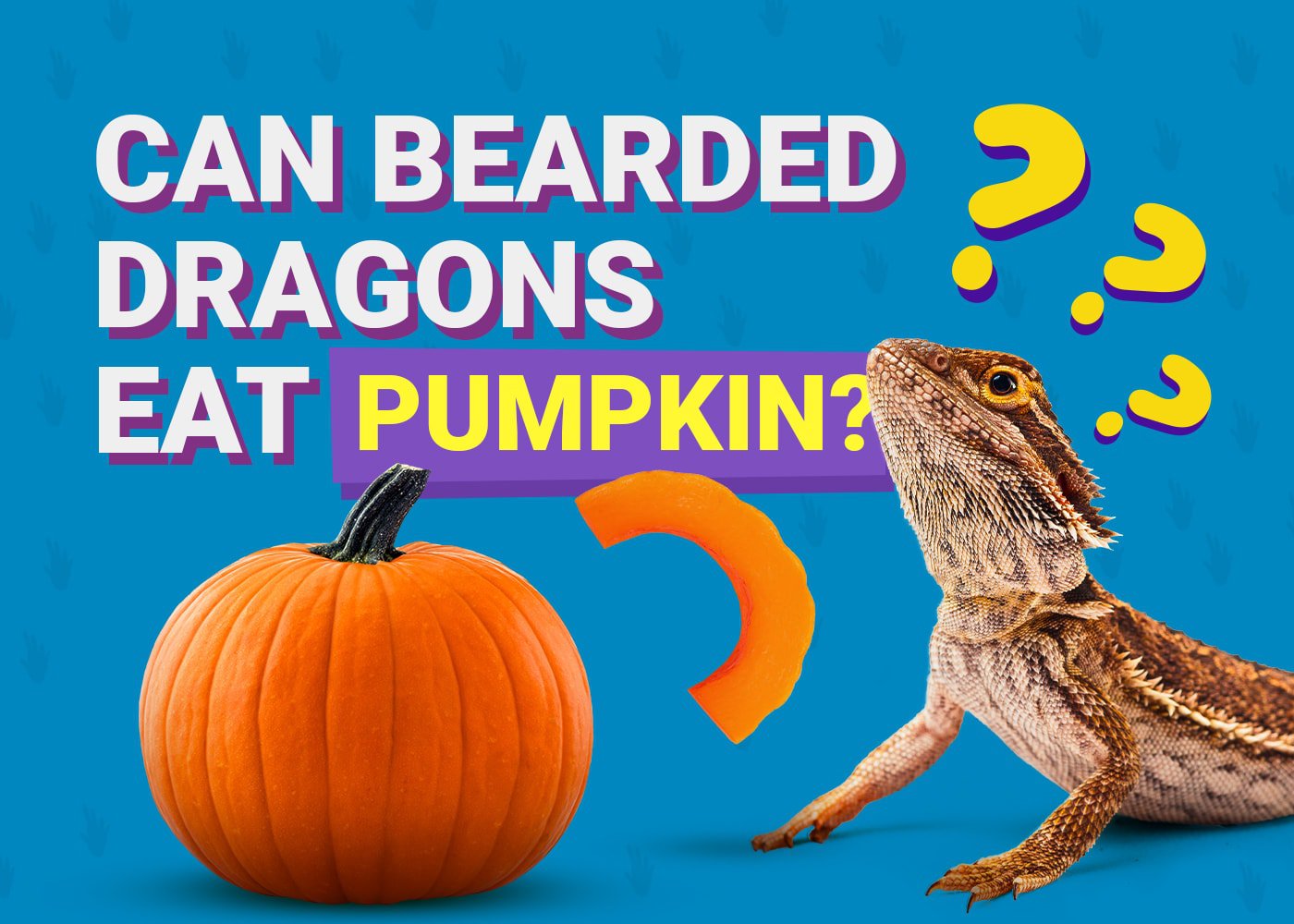 Can Bearded Dragons Eat Pumpkin - EMSEKFLOL.COM