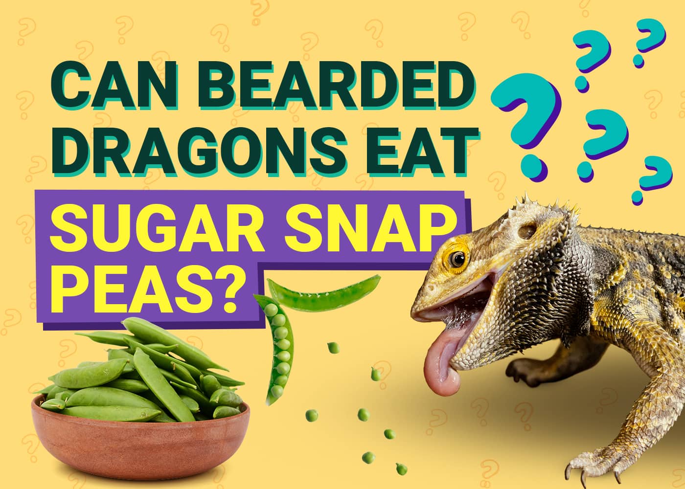 Can Bearded Dragons Eat Sugar Snap Peas? Our Vet’s Nutritional Analysis ...