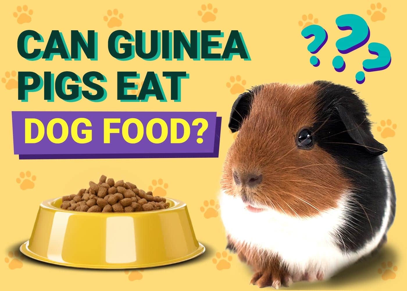 Articles About Guinea Pigs PangoVet