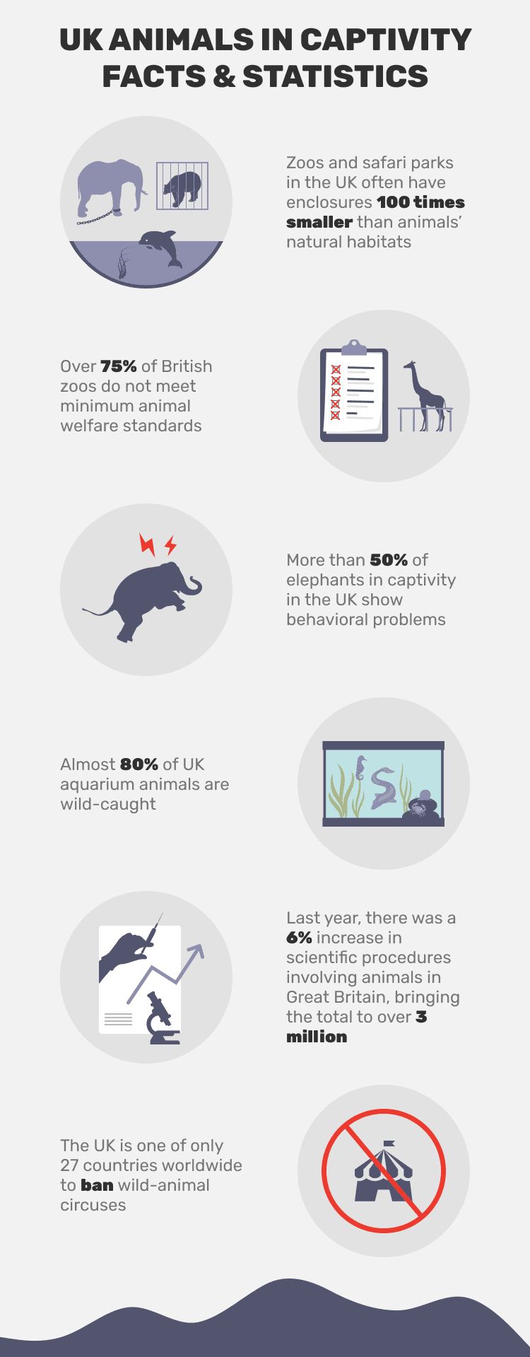 11 Disheartening UK Animals in Captivity Statistics to Know in 2025 ...