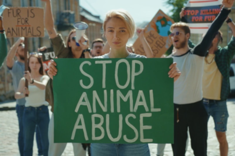 International Animal Rights Day 2025: What Is It & How to Celebrate ...