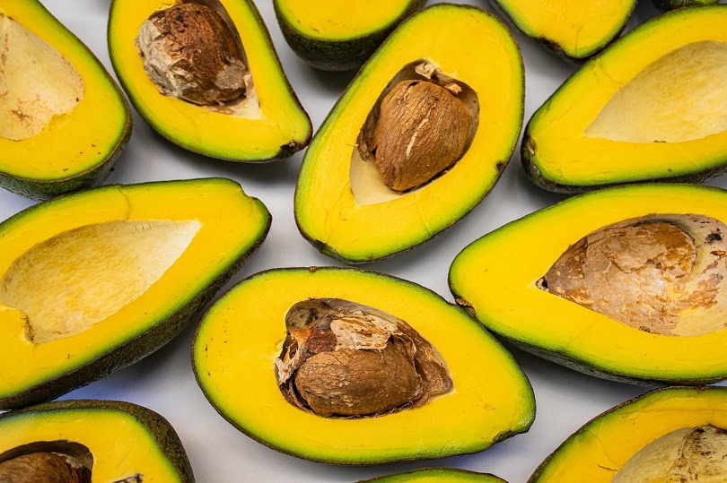 Can Parrots Eat Avocado? Vet-Approved Nutrition Facts & Info | PangoVet
