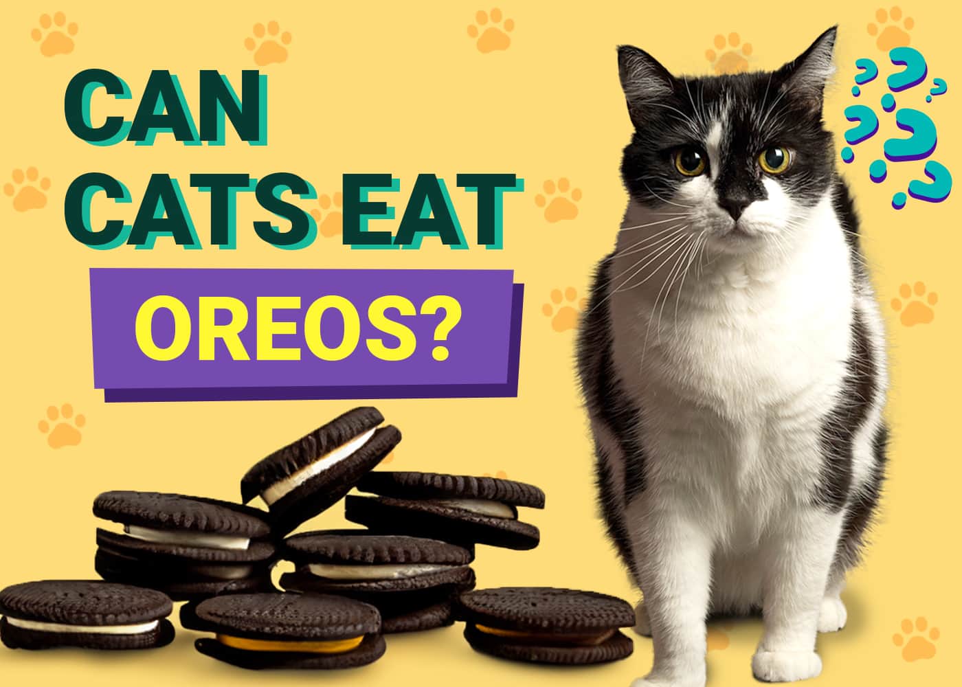 Can Cats Eat Oreos? Vet-Reviewed Facts & FAQ | PangoVet