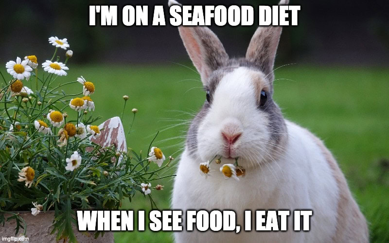10 Funny Rabbit Memes Guaranteed to Make You Laugh | PangoVet