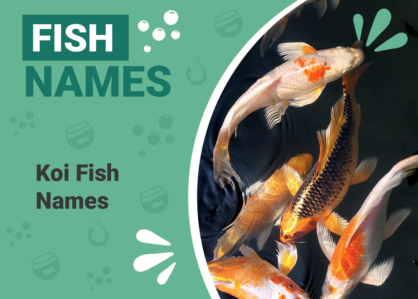 150 Majestic Koi Fish Names for Their Beautiful Colors (With Meanings ...