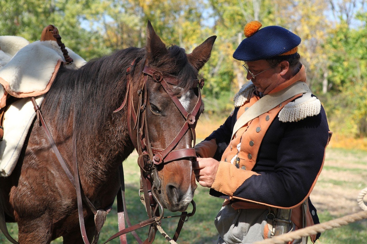 Destrier Horse