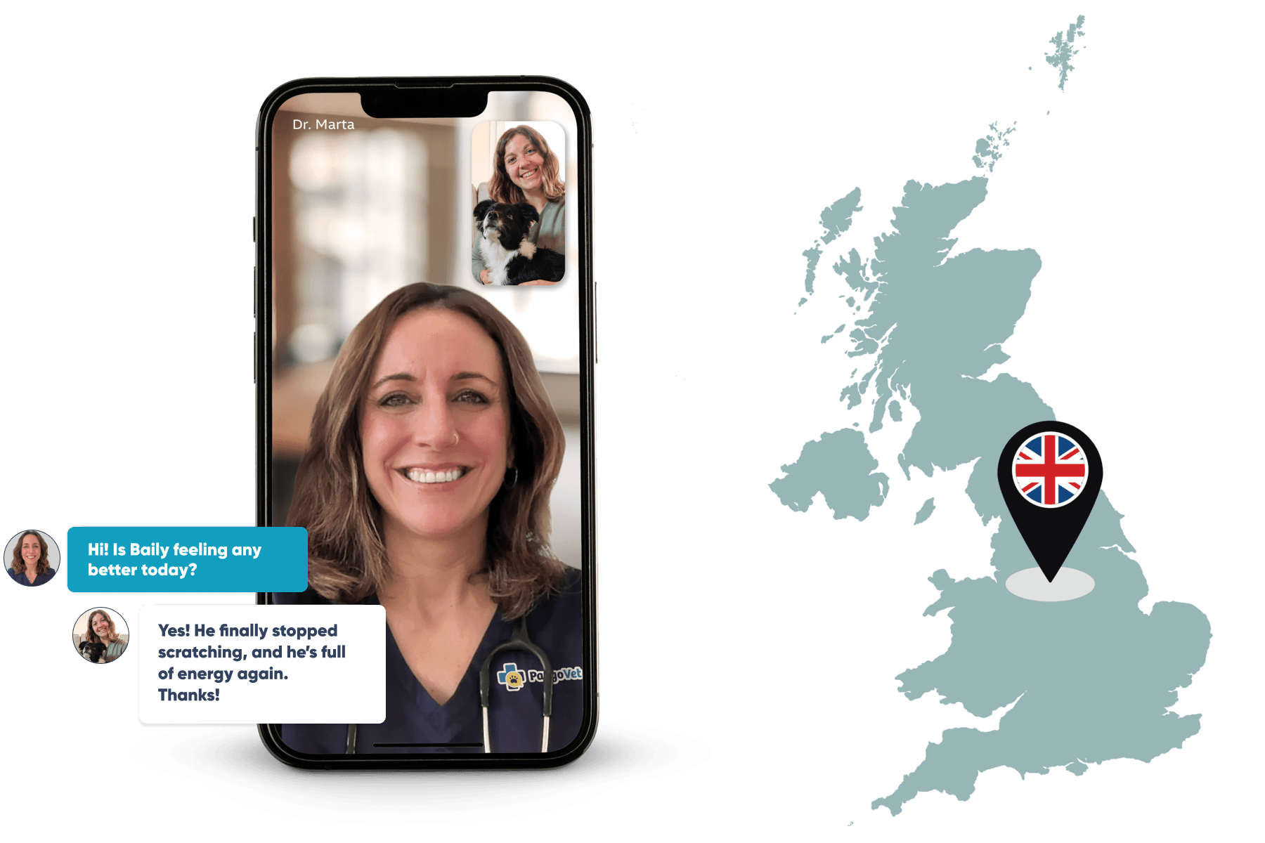 Ask a Vet Online: Telehealth Service for UK Pet Families | PangoVet