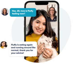 Speak to a Vet Online and Get Expert Advice | PangoVet