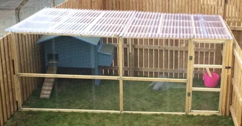 19 DIY Chicken Run Plans You Can Make Today (with Pictures) | PangoVet