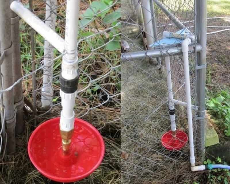 4 Effective DIY Duck Waterers You Can Make at Home (With Pictures ...