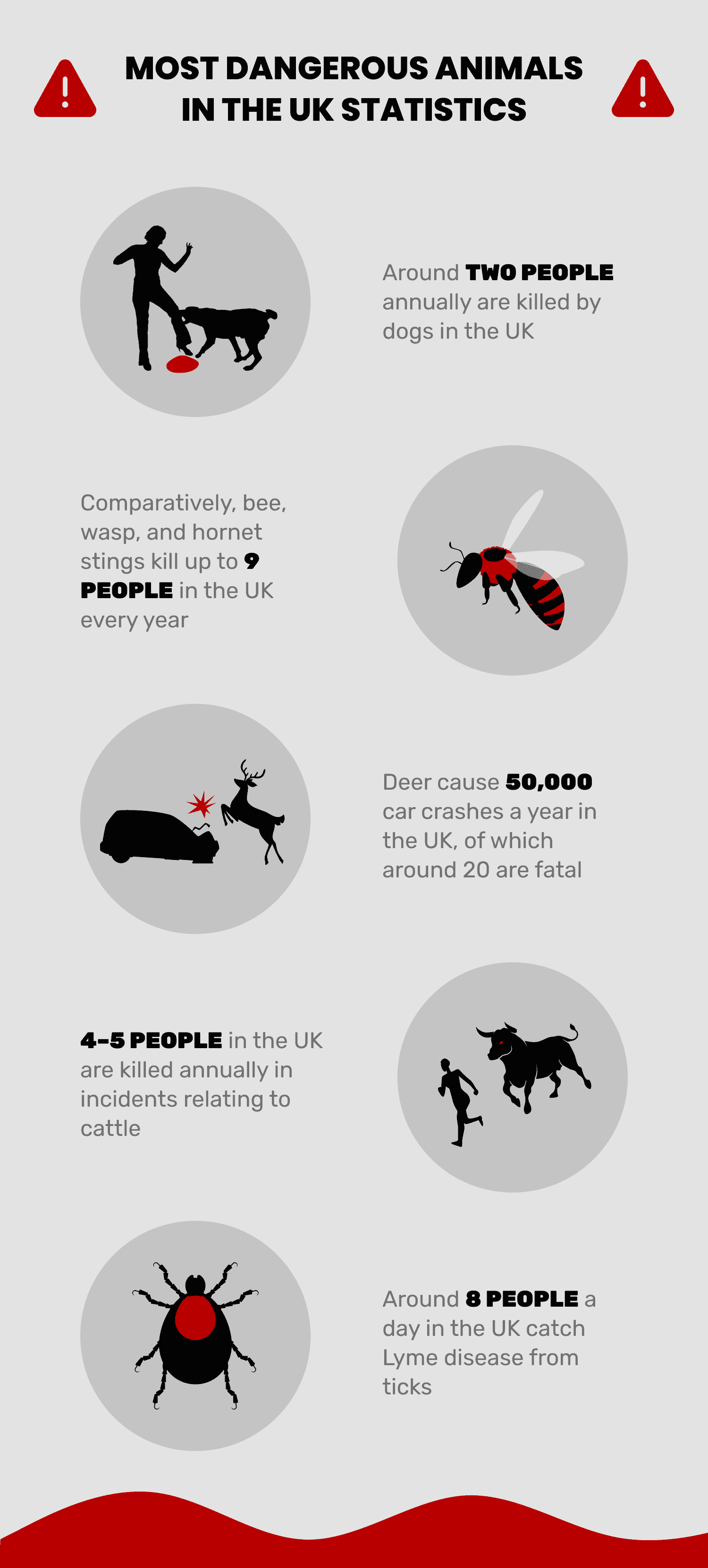 Most Dangerous Animals To Humans
