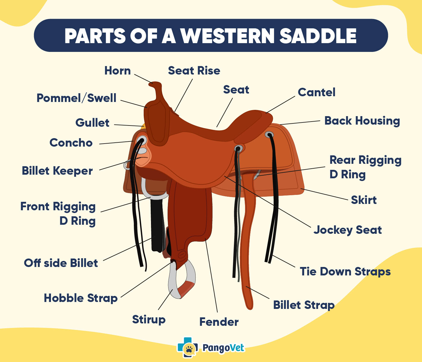 Parts Of The Western Saddle Colorado Roughout Cody Trail Saddle