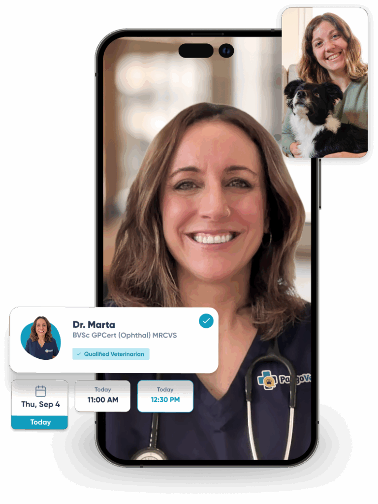 Speak to a Vet Online and Get Expert Advice | PangoVet