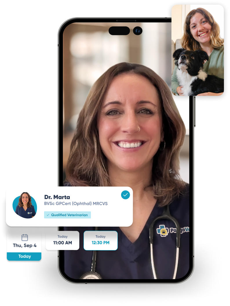 Speak to a Vet Online and Get Expert Advice | PangoVet